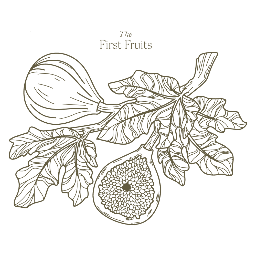 Buy Fruit Basket Online | Same Day Delivery In Singapore